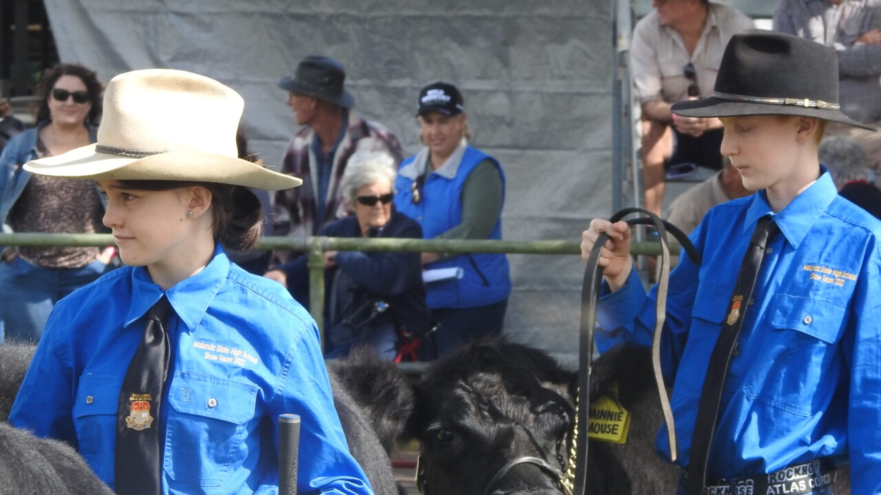 Malanda Show 2022 Gallery - The Malanda Show