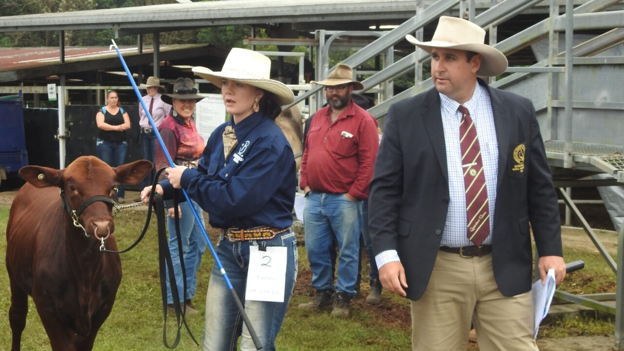 Malanda Show 2022 Gallery - The Malanda Show