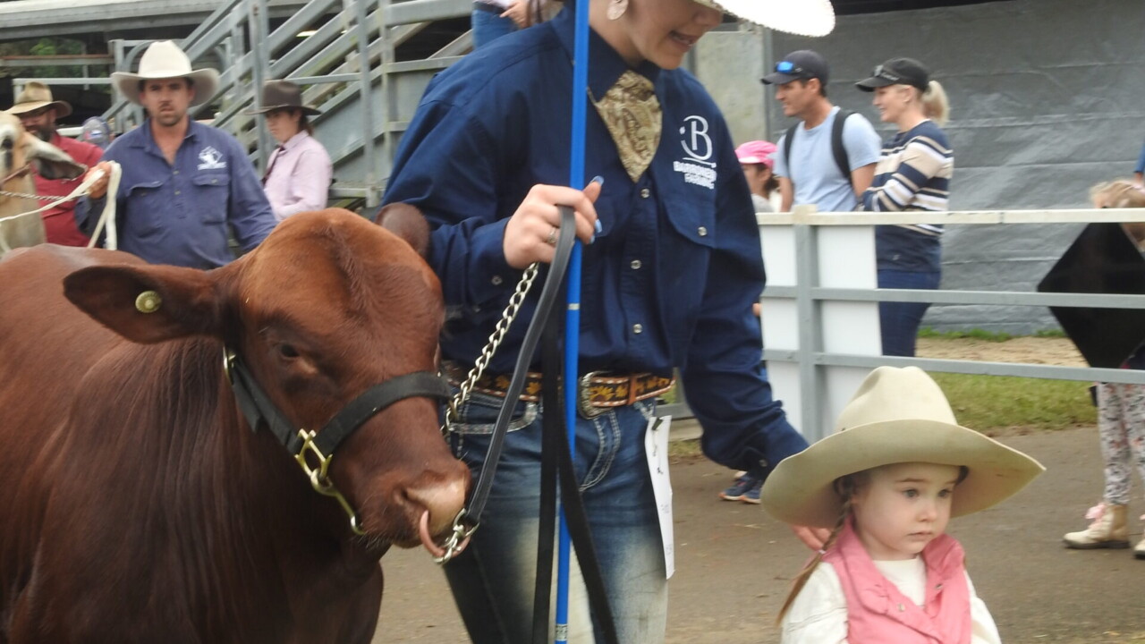 Malanda Show 2022 Gallery - The Malanda Show