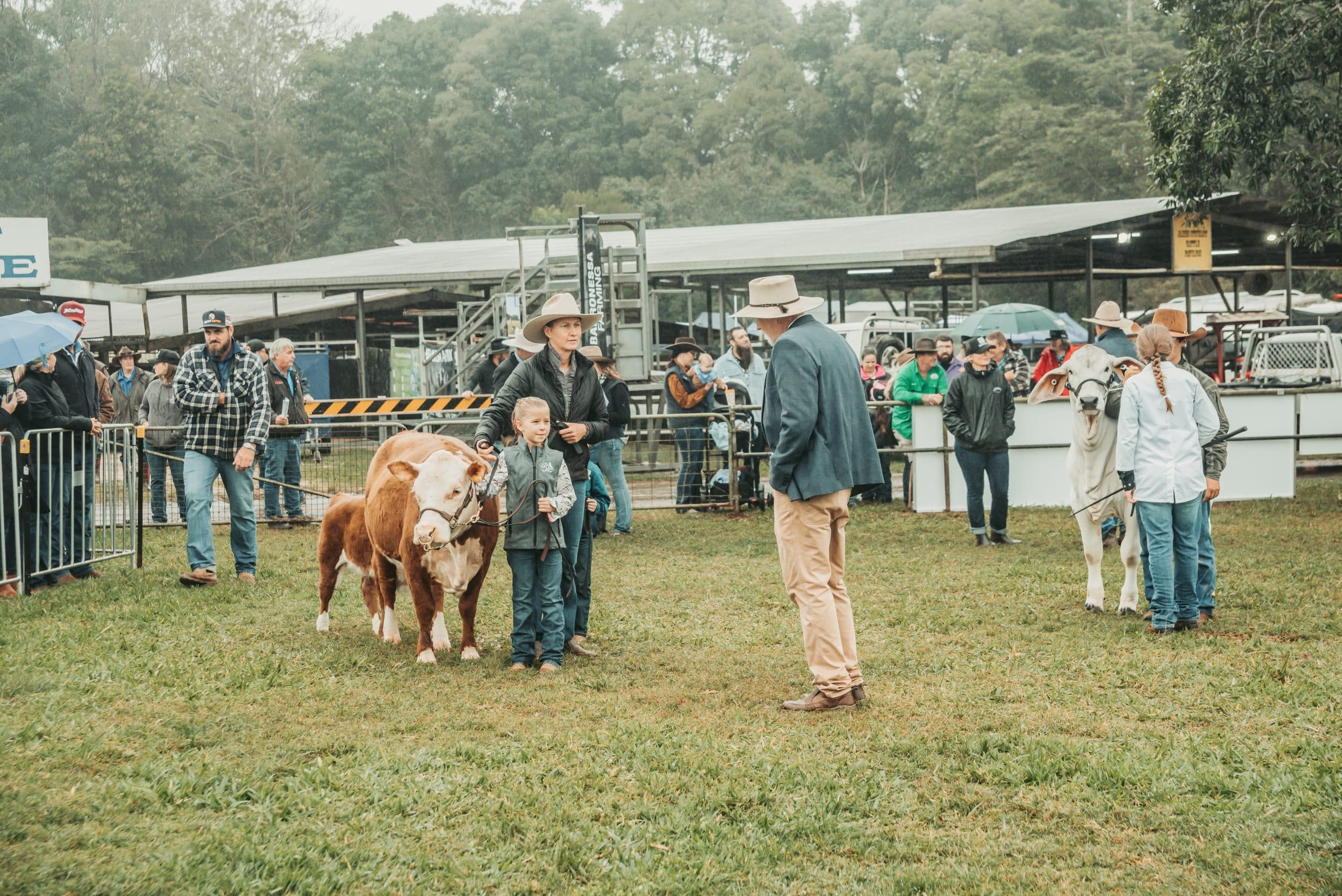Malanda Show 2025 - The Malanda Show